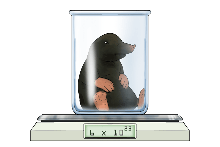 mole - Mammoth Memory definition - remember meaning