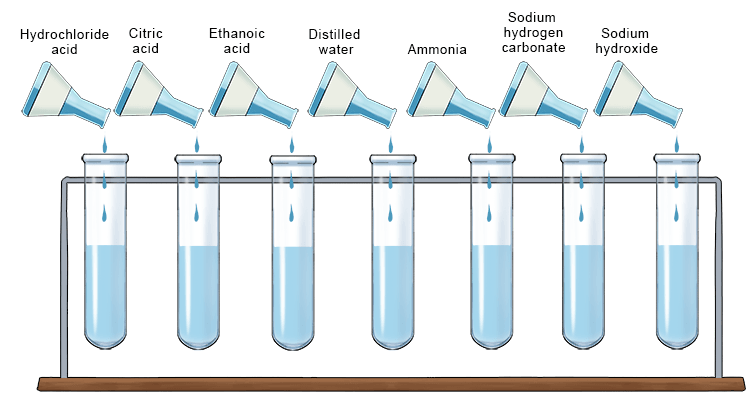 universal indicator - Mammoth Memory definition meaning