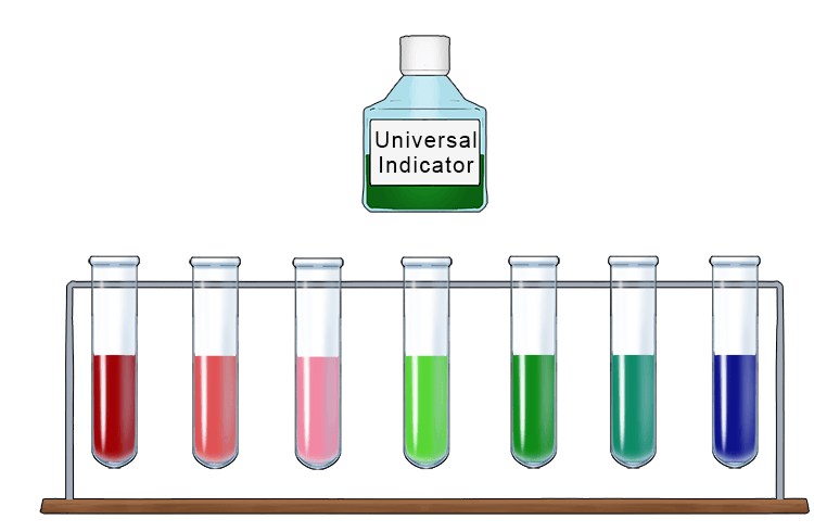 universal indicator - Mammoth Memory definition meaning