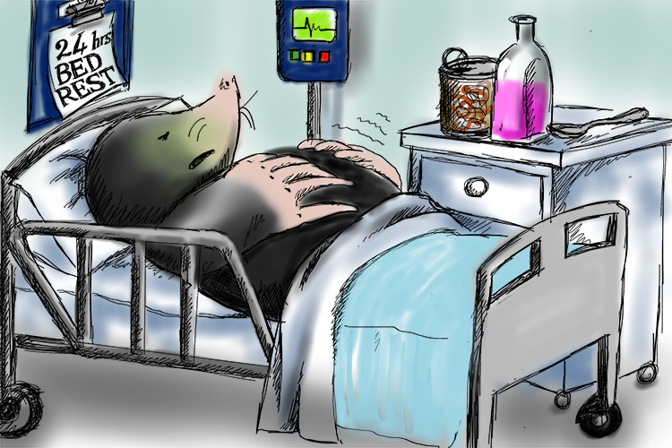 Remember a mole of ideal gas is 24 litres at RTP