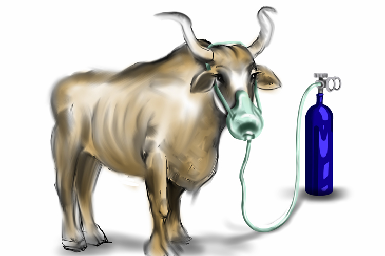 Redox reactions involves the transfer of electrons