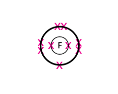 Electrons orbit the nucleus of an atom orbits are called she