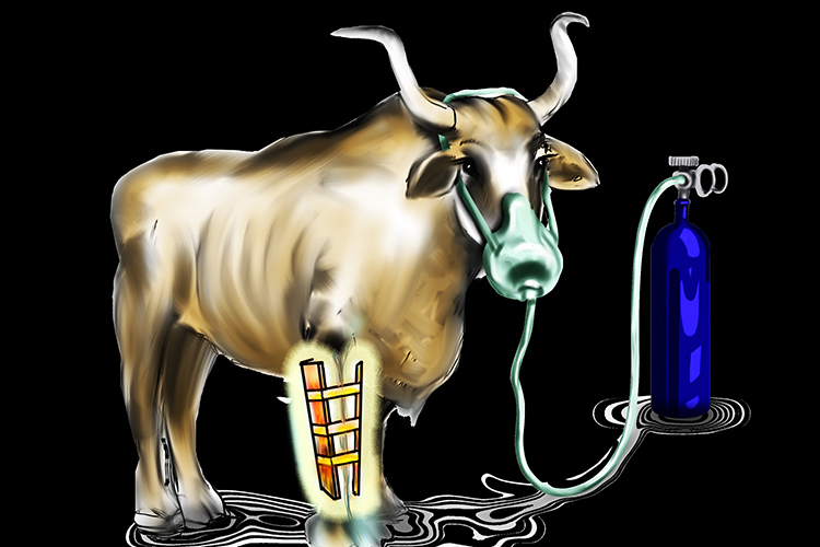 A glowing wooden splint will relight in test tubes of oxygen