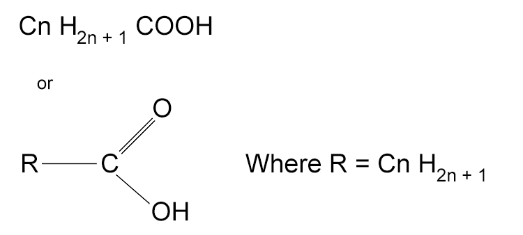 carboxylic acids - Mammoth Memory definition - remember