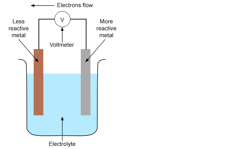 chemical cells - Mammoth Memory definition - remember