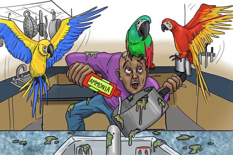 Pandemonium – Collective Nouns - Mammoth Memory English