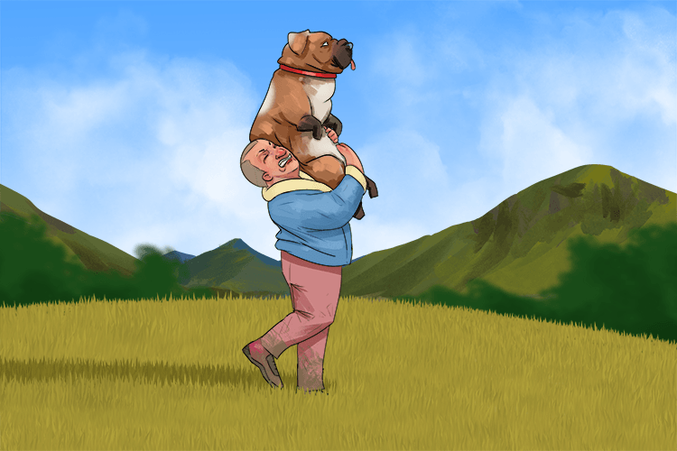 French Word – la campagne – Mammoth Memory