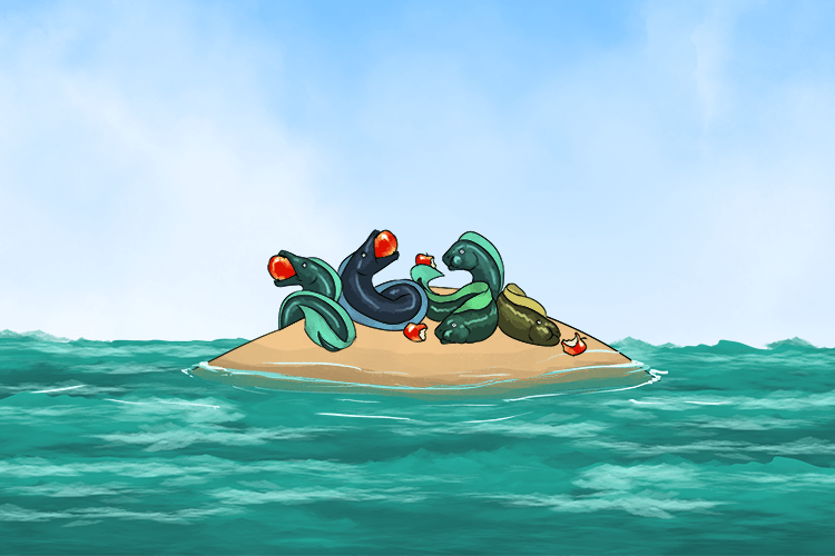 French Word île Mammoth Memory