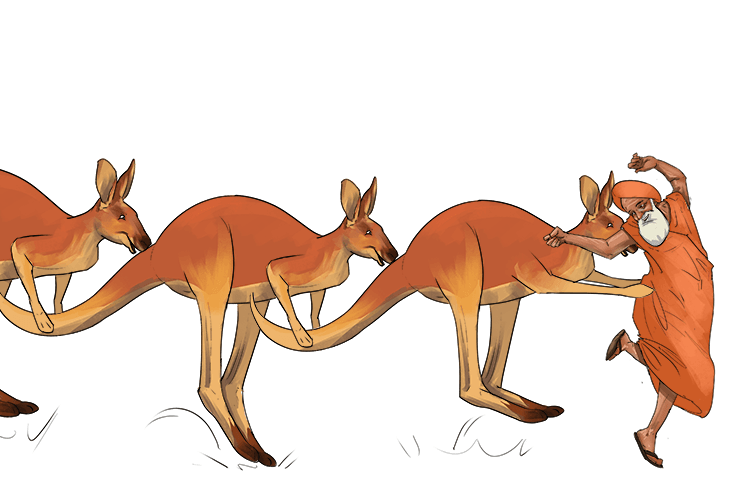 French Word – le kangourou – Mammoth Memory