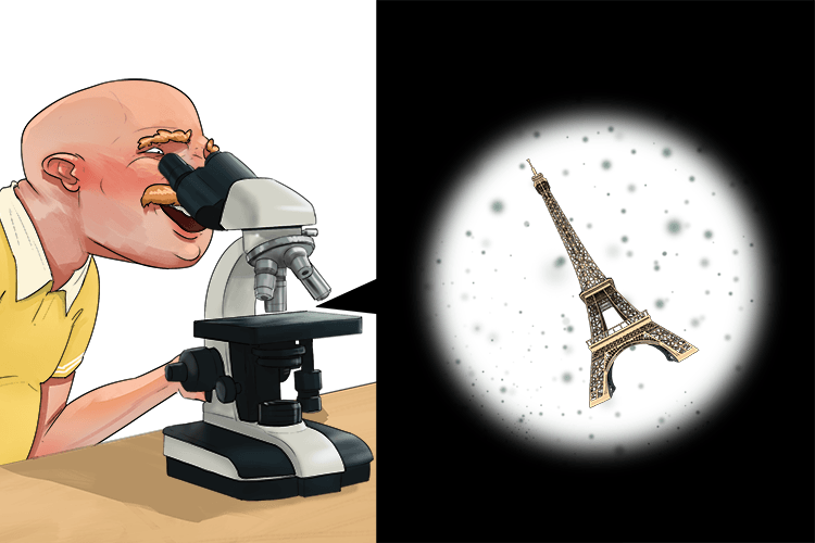 French Word – miniscule – Mammoth Memory