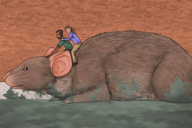 French Word Sur Mammoth Memory