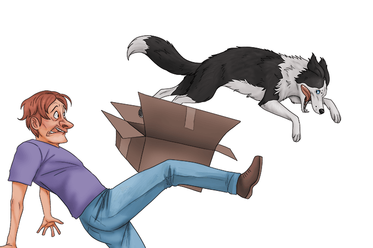 French Word – le colis – Mammoth Memory