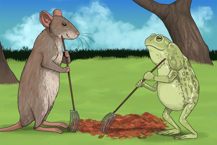 French Word – râteau– Mammoth Memory