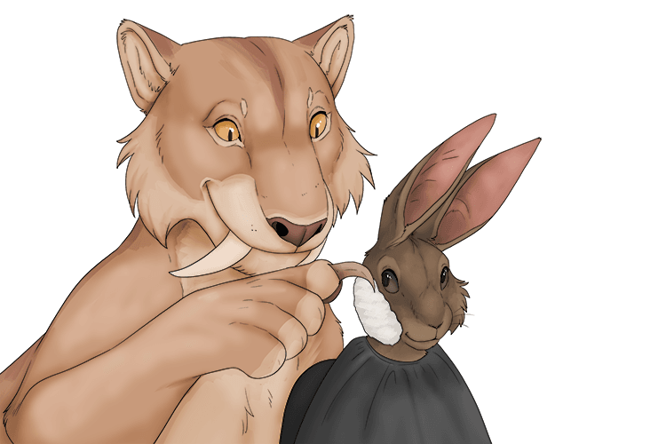 French Word – raser – Mammoth Memory