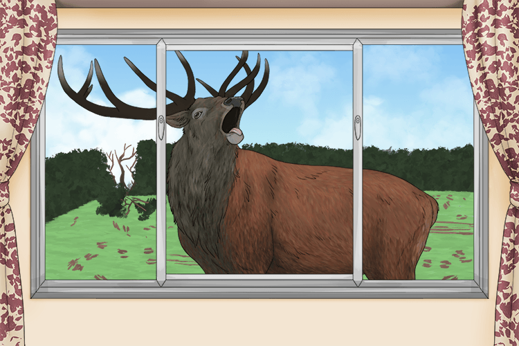 French Word – dire – Mammoth Memory