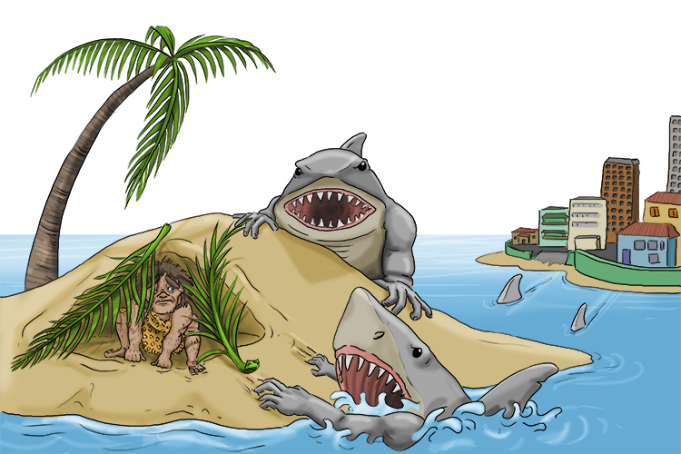 Cayman Islands – Geography - Mammoth Memory Geography