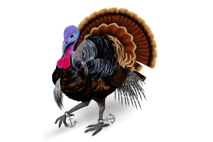 Turkey – Geography - Mammoth Memory Geography