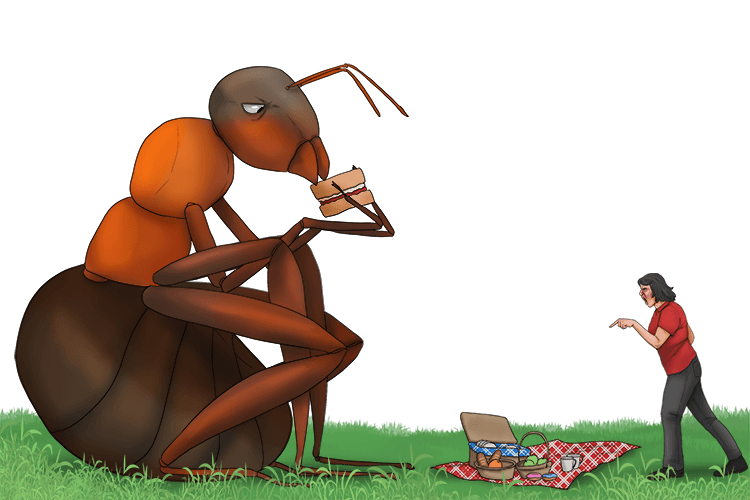 Mandarin Word – mayi – Mammoth Memory