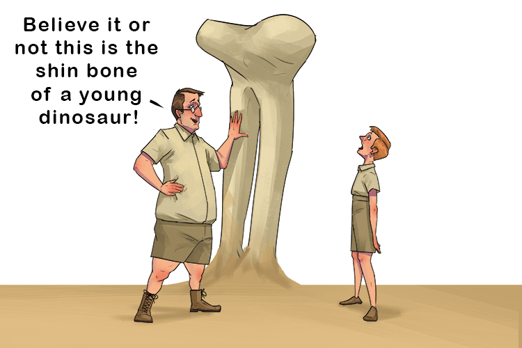 Mandarin Word – xiangxin – Mammoth Memory