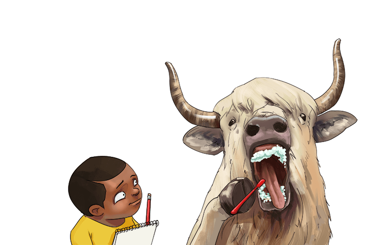 Mandarin Word – shuaya – Mammoth Memory