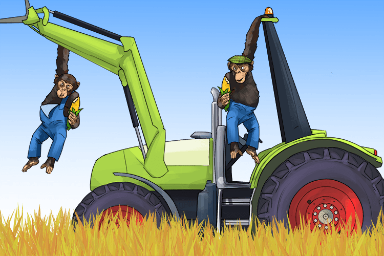 Mandarin Word – nongchang – Mammoth Memory