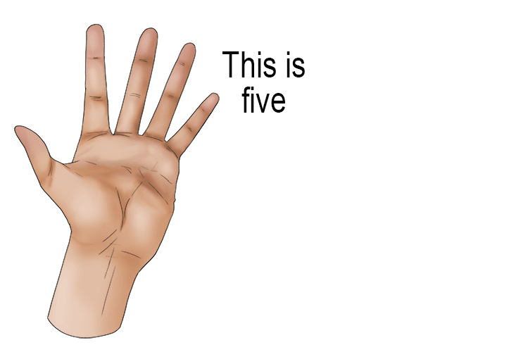 Mandarin – Hand Signals Count to 10 – Mammoth Memory