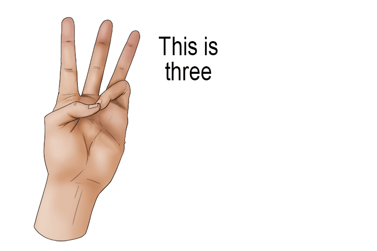 Mandarin – Hand Signals Count to 10 – Mammoth Memory