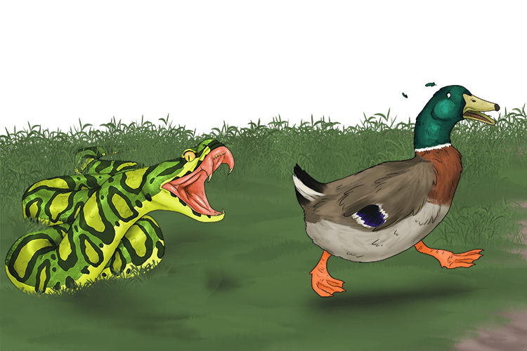 Mandarin Word – ta de – Mammoth Memory