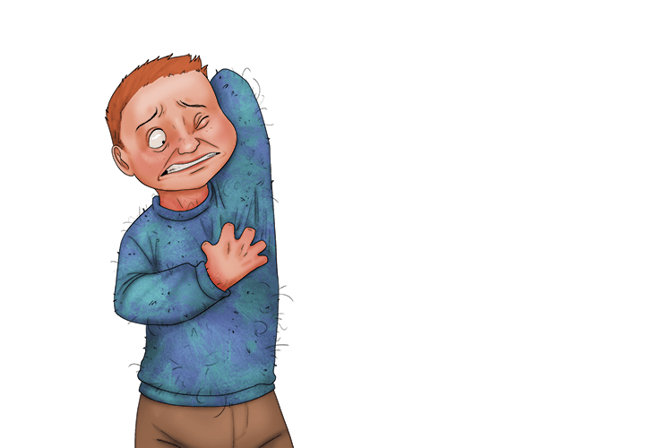 Mandarin Word – yang – Mammoth Memory