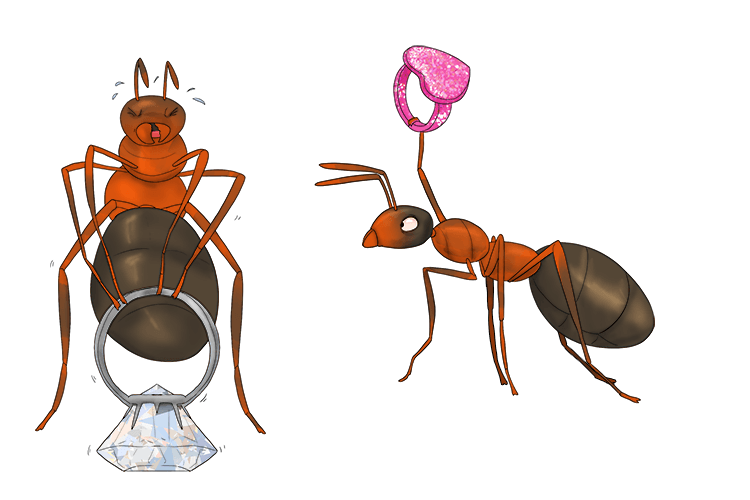 Mandarin Word – juqi – Mammoth Memory