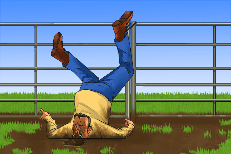 Mandarin Word – bufen – Mammoth Memory