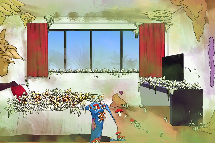 Mandarin Word – fangjian – Mammoth Memory