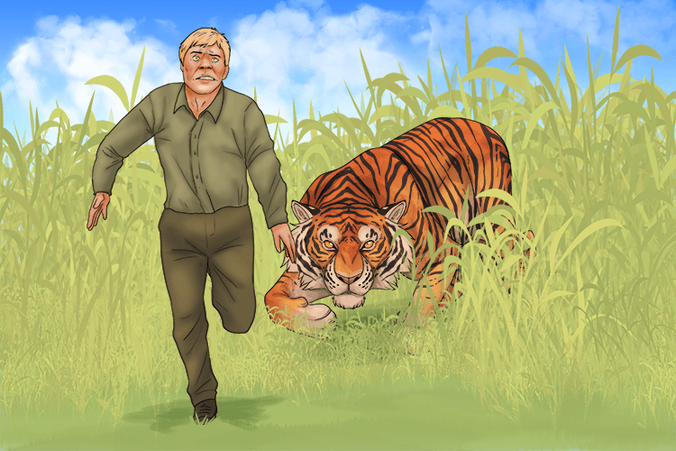 Mandarin Word – pao – Mammoth Memory