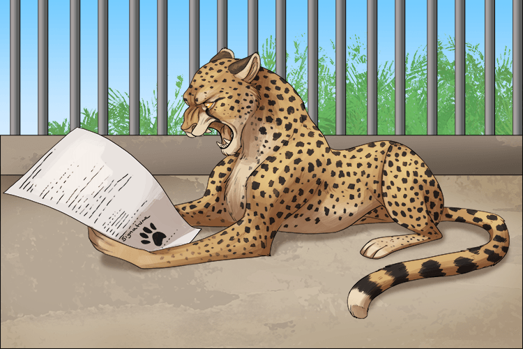 Mandarin Word – qianzi – Mammoth Memory