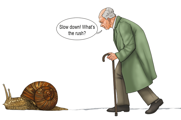 Mandarin Word – man – Mammoth Memory