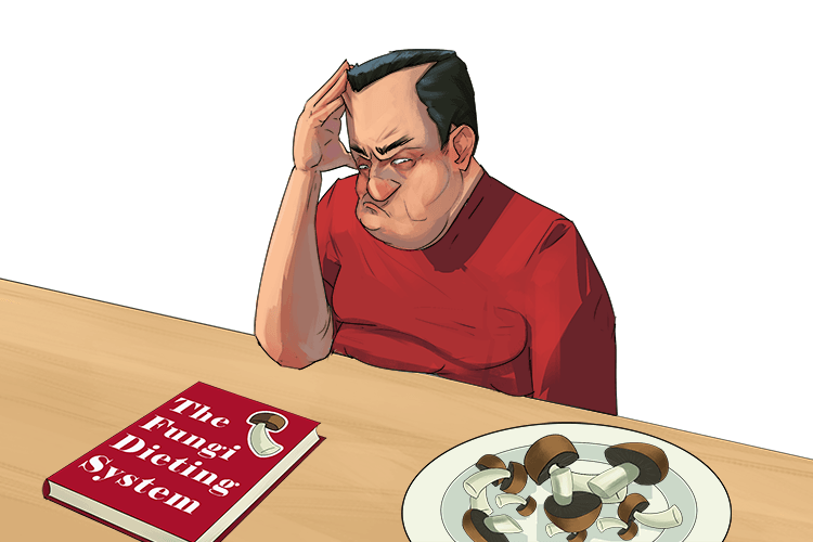 Mandarin Word – fangfa – Mammoth Memory