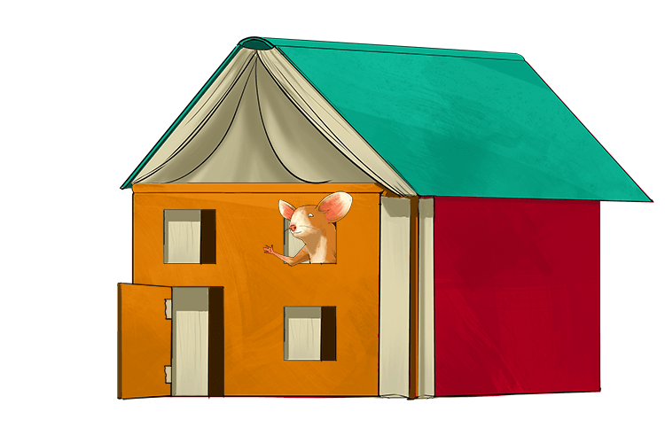 Mandarin Word – hou – Mammoth Memory