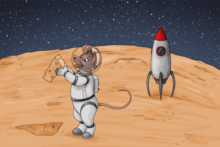 Mandarin Word – lu cheng – Mammoth Memory