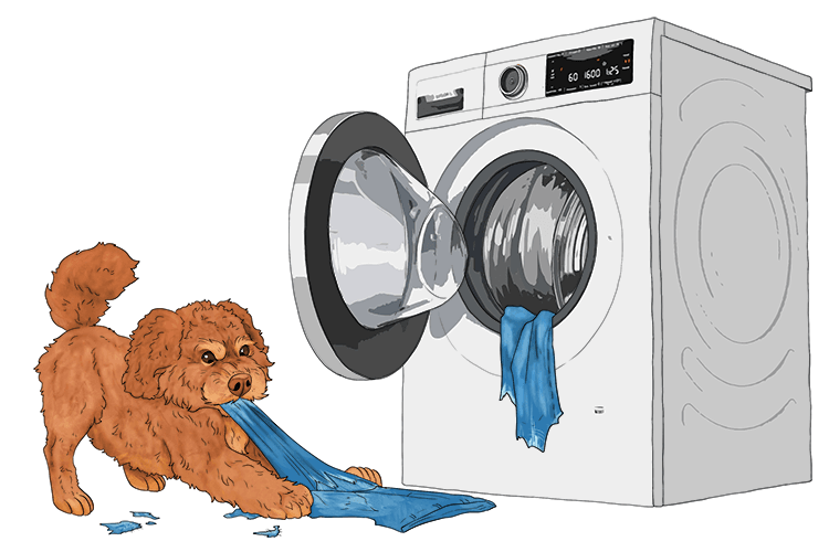 Mandarin Word – xiyiji – Mammoth Memory