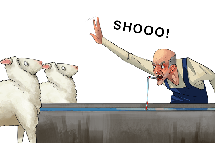 Mandarin Word – shui – Mammoth Memory