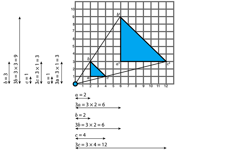 Resizing shapes how they would look in the examination
