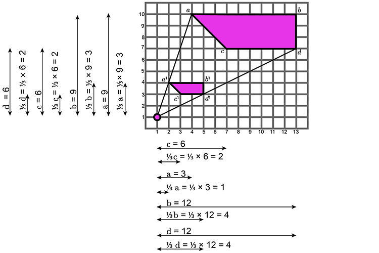 Resizing shapes how they would look in the examination