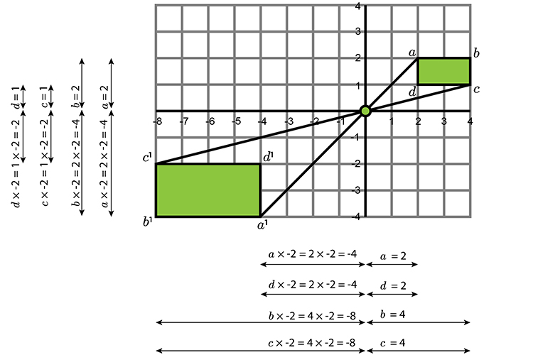 Resizing shapes how they would look in the examination