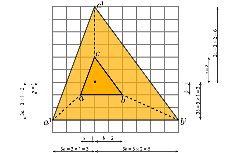 Resizing shapes how they would look in the examination