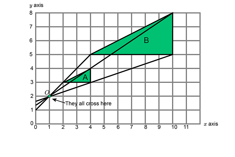 Resizing shapes how they would look in the examination
