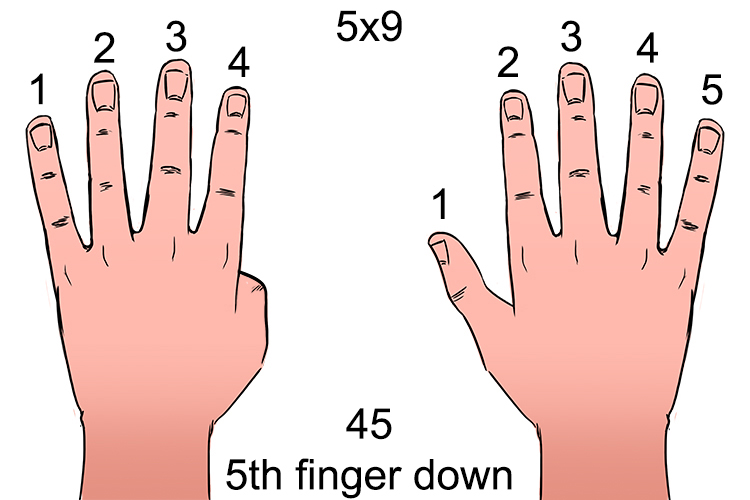 The 9 times table can be done on your hand mammoth_Memory