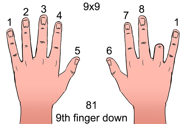 The 9 times table can be done on your hand mammoth_Memory