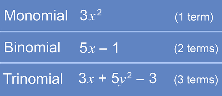 A binomial is the name given to 2 terms in an equation