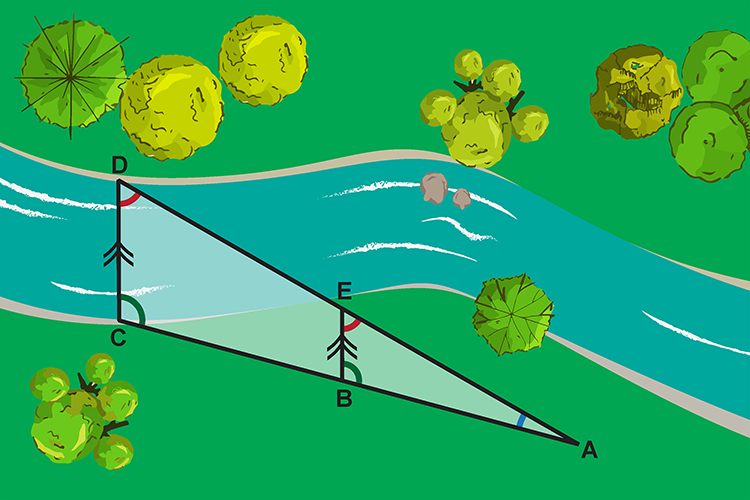 If you hear the words Thales intercept theorem think pyramid