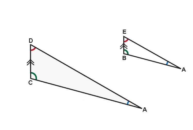 Thales, the Greek mathematician saw the parallel lines